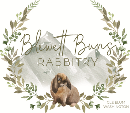 Blewett Buns Rabbitry | Mini Plush Lops